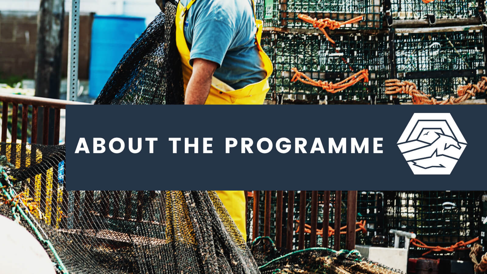 About the Programme - Clean Catch UK