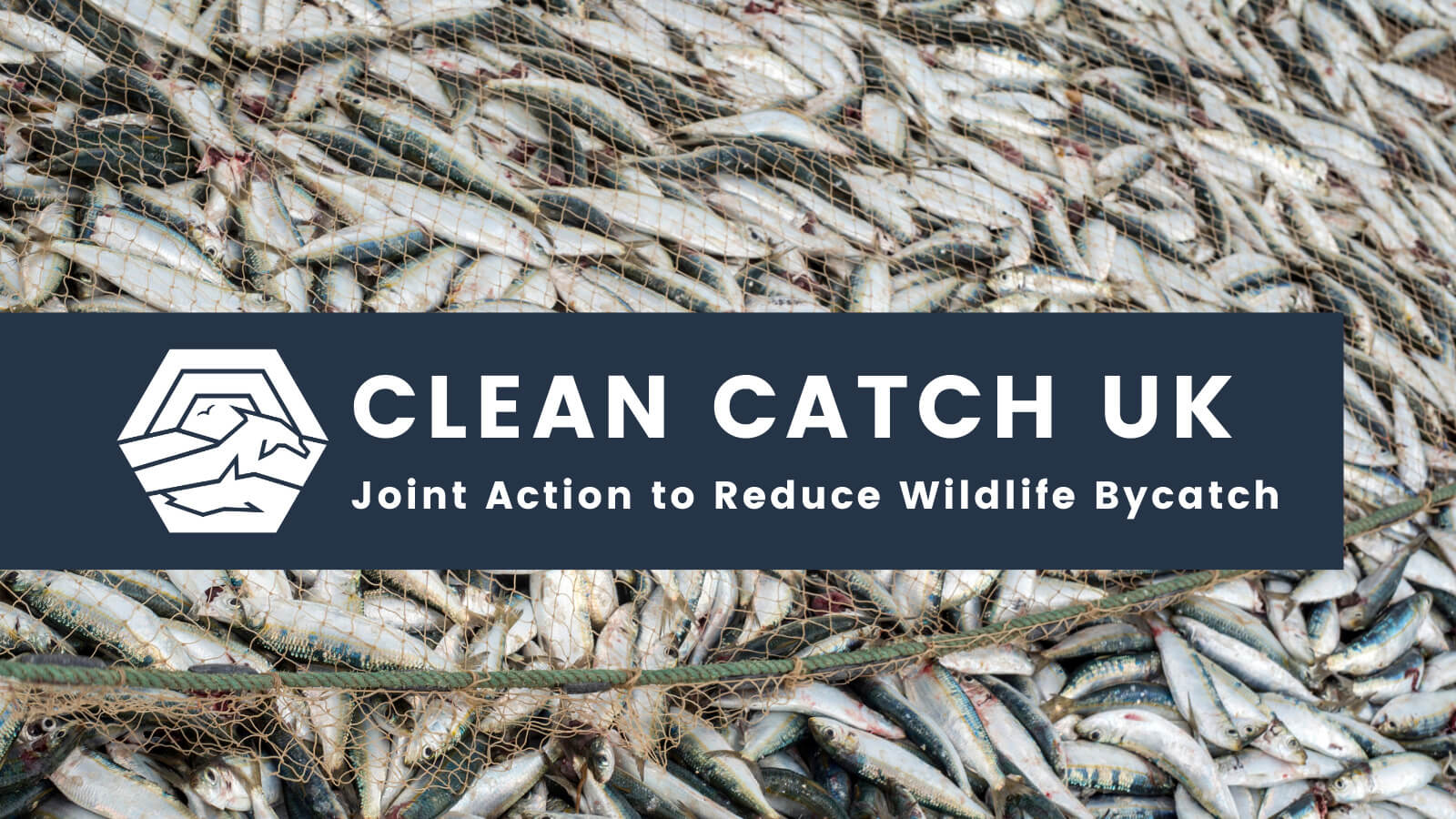 Home - Clean Catch UK