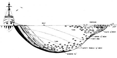 Backdown - Clean Catch UK
