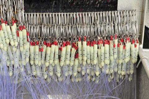 Sliding Leads - Clean Catch UK