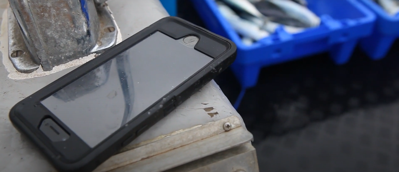 Clean Catch UK launches new wildlife bycatch reporting app - Clean Catch UK