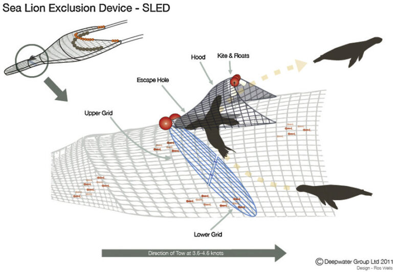 Trawl Excluder Device - Clean Catch UK
