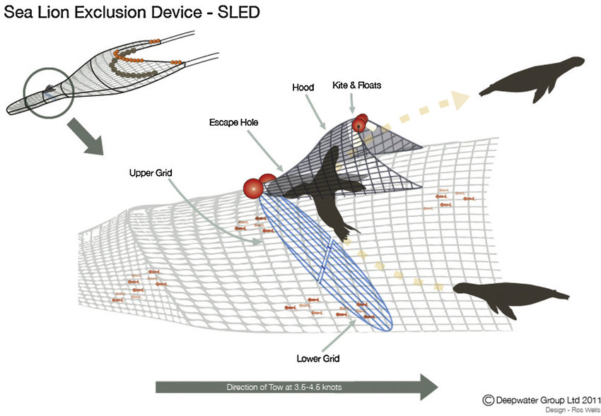 Trawl Excluder Device - Clean Catch UK