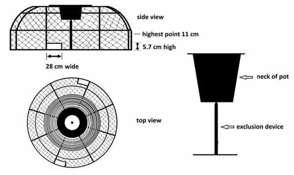 Trap Excluder Device - Clean Catch UK
