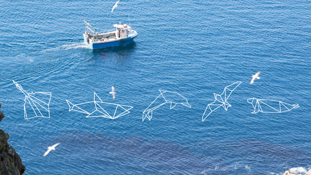 Clean Catch UK launches the UK’s first Wildlife Bycatch Mitigation Hub ...