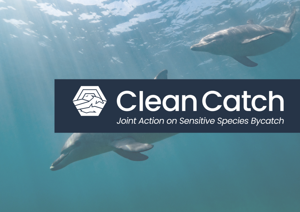 About the Programme - Clean Catch UK