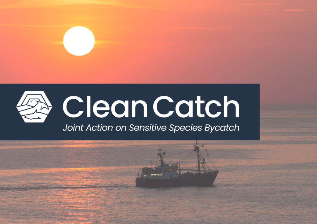Home - Clean Catch UK